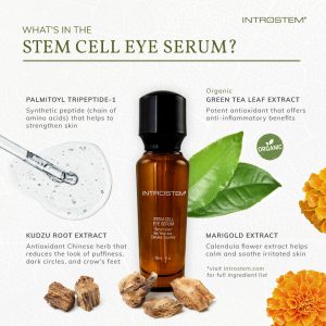 Does the Introstem Eye Serum Really Help With Wrinkles? | Introstem