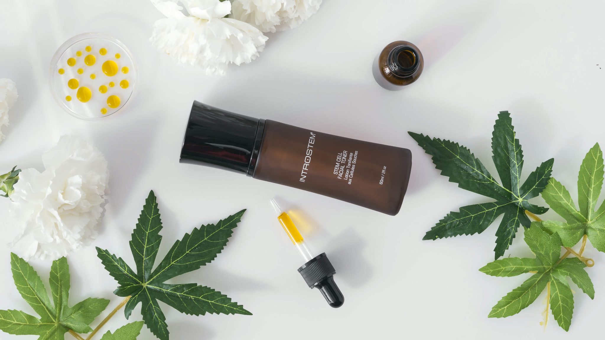 Introstem | Skincare & Body Care Premium Products